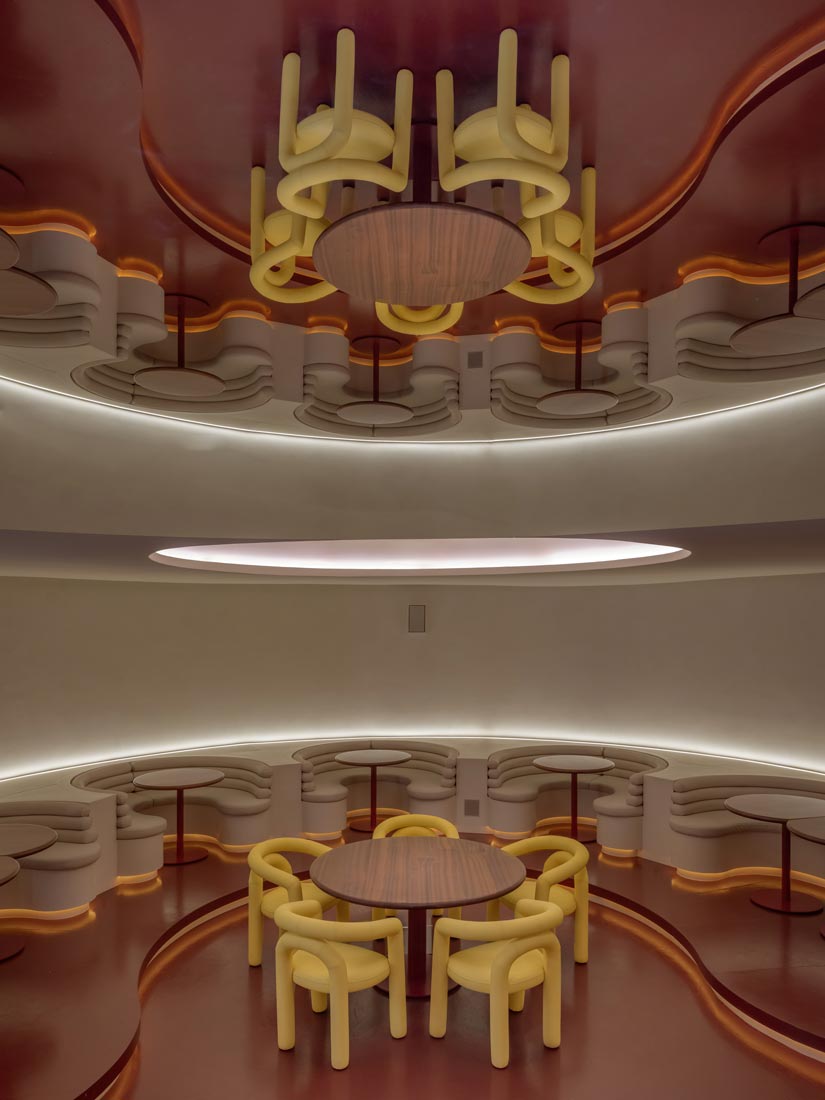 Restaurant Poissonchat à Lyon - Collab Design